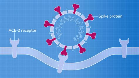 The Anatomy Of A Pandemic