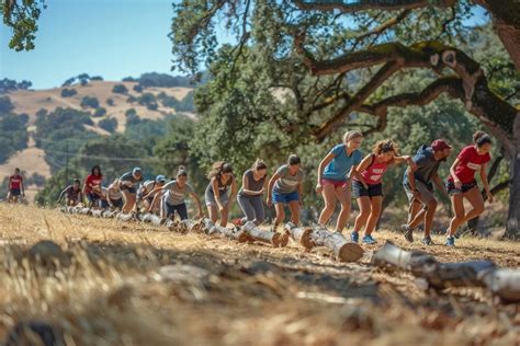 Activités de team building plein air adulte renforcez votre équipe avec des défis en extérieur