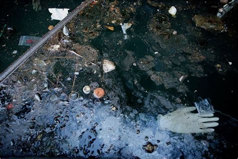 A Walk In The Park Feds Gowanus Canal Study Underlines Severity Of