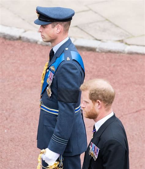 'Absolutely no signs' Harry and William will reach a truce and reunite | Royal | News | Express ...