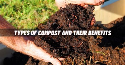 Best 4 Types Of Compost And Their Benefits Lawn Gardeners