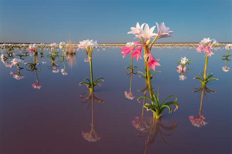 Kyle Goetsch Photography Added Kyle Goetsch Photography