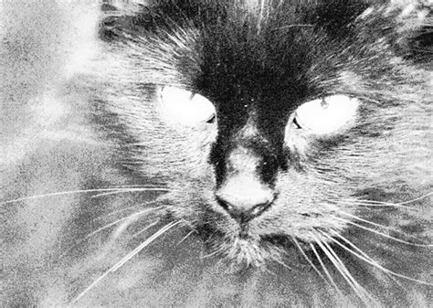 GitHub Dudinda Image Processing Loosely Coupled Mvp Monolith Over The Digital Image