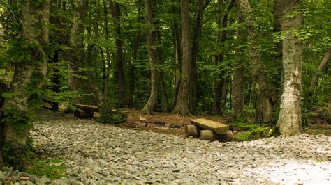 საქართველოს ინფრასტრუქტურის სამინისტროს მუნიციპალური განვითარების ფონდი თბილისის ეროვნული