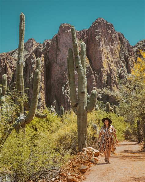 Mesa Arizona Tourist Attractions 60 Photos