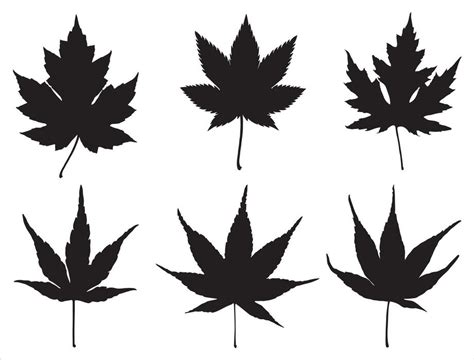 Japanese Maple Leaf Silhouette Red Maple Leaf Silhouette Cut Files