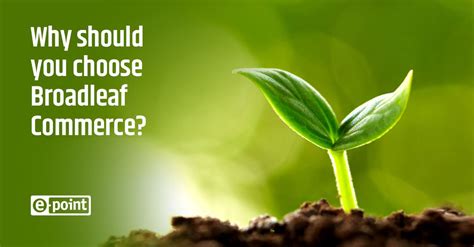 Why Should You Choose Broadleaf Commerce E Point Sa