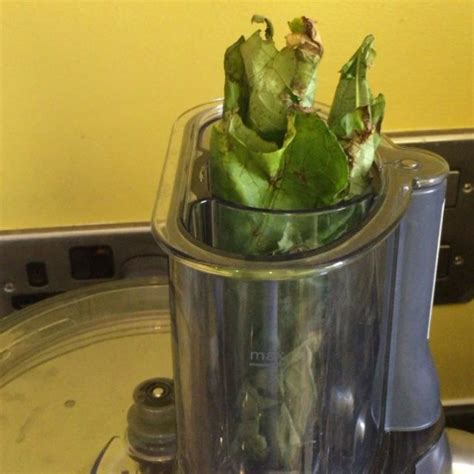 How To Slice Celery In A Food Processor At James Kettler Blog