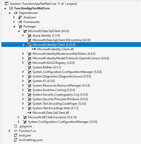 The Type Initializer For Microsoft Data SqlClient