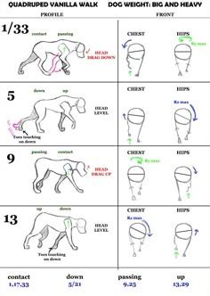 Quadruped Walk Cycle Tutorial Animation Tutorial 10 Walk And Run Cycle