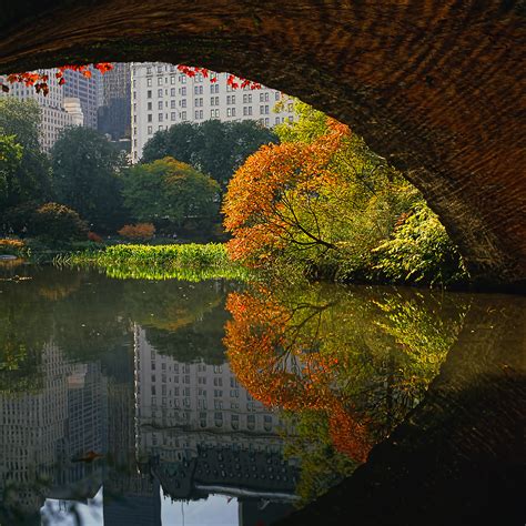 Landscape The Official Website Of Daniel Heller