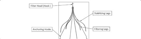 Venatech ® Retrievable Filter Download Scientific Diagram