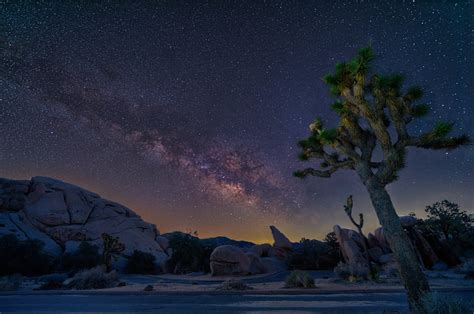 8 Places Where Stars Shine Brightest Us Stargazing Guide Koa