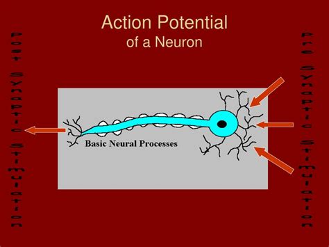 Ppt Emg Powerpoint Presentation Free Download Id6757795