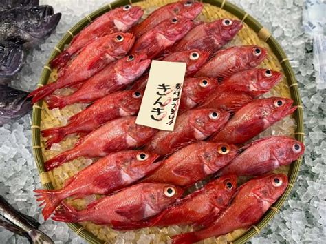 「きんき」とはどんなもの？和道一筋がわかりやすく解説！ フードマニア Food Mania By 旭屋出版