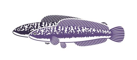 Snakehead Logo Isolated Snakehead On White Background Stock Vector