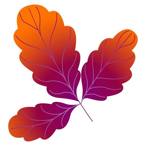 Premium Vector Oak Leaves