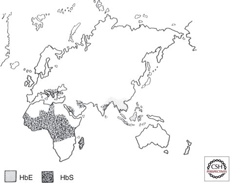 World Distribution Population Genetics And Health Burden Of The