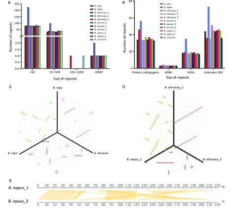 Principal Component Analysis Based On And Phylogenetic Tree In Brassica Download Scientific Principal Component Analysis Based On And Phylogenetic Tree In Brassica Download Scientific