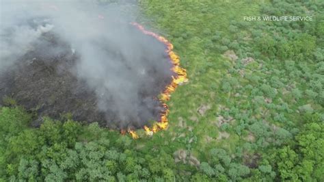 Fire In Bayou Sauvage Has Already Consumed 100 Acres Of Swamp Land