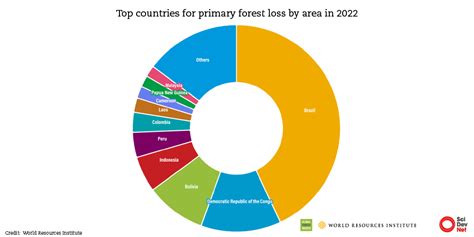 Forest Loss Spikes Despite Climate Summit Vows Asia And Pacific