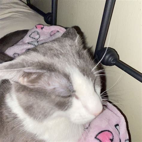 Stream Data Diva Pico Mix By A 3210 Listen Online For Free On Soundcloud