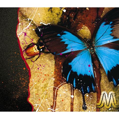 Kindan No Mori Sing J Edit Youtube Music