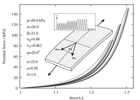 simulation of the preconditioning of a tissue sample with increasing