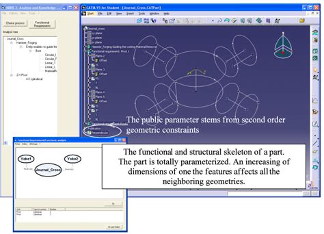 The Functional And Structural Skeleton Built From Knowledge Extraction