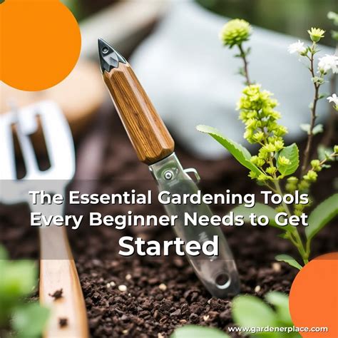 The Essential Gardening Tools Every Beginner Needs To Get Started