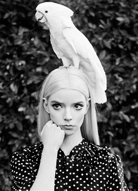 Pin By Marianela Machulsky On Lucky Girl Ley De La Atraccion💋 ️🩷💕💝💖 Anya Taylor Joy Anya Joy