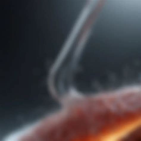 Exploring Fibrin Gel Structure Function Applications