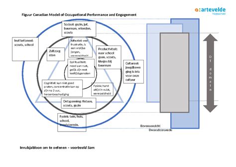 Cmop E Figuur Sam Figuur Canadian Model Of Occupational Performance