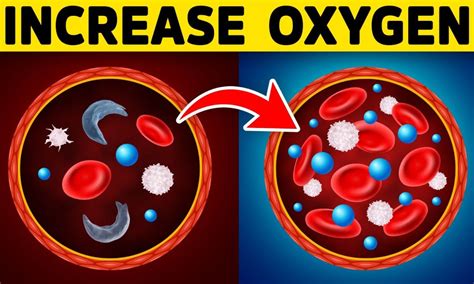 Unlock The Oxygen Secret Boost Cellular Oxygen With Co2 Life Of A Hero
