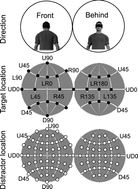 Directions Of Targets And Distractor Stimuli The Target Direction Was