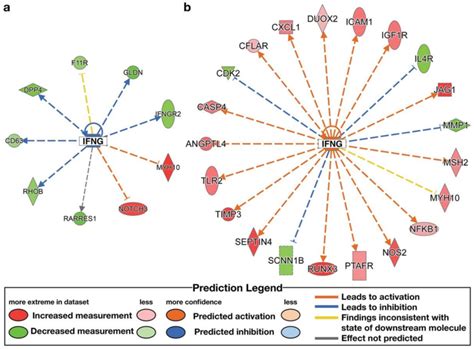 differentially expressed genes fdr adjusted p value
