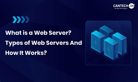 Understanding The Different Types Of Web Servers