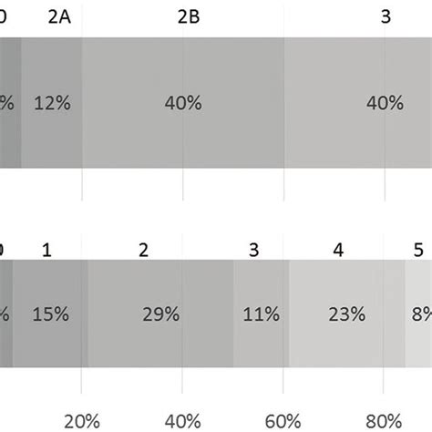 Grading Of Thrombolysis In Cerebral Infarction Tici And Score On