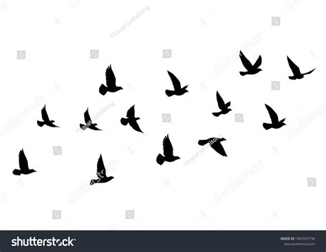 Flying Bird