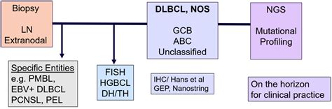 Hemato Free Full Text Evolution In The Definition Of Follicular