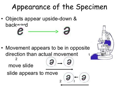 Slide Flip And Turn Worksheet