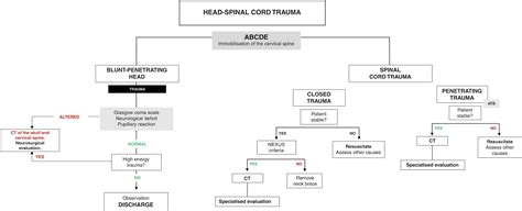 Approach And Management Of Patients Injured By Bullfighting Trauma Approach And Management Of Patients Injured By Bullfighting Trauma