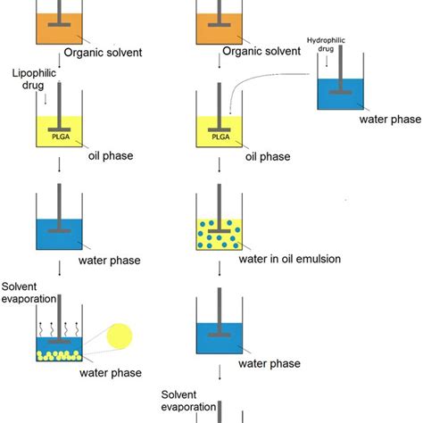 Schematic Representation Of Emulsion Solvent Evaporation Techniques For