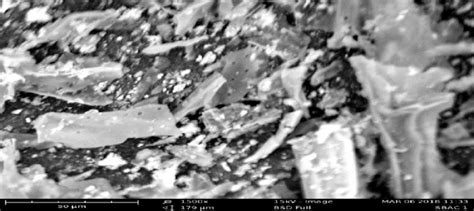 Sem Micrographs Of Sugarcane Bagasse Activated Carbon Download