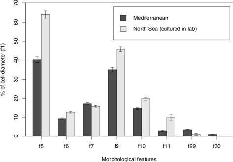 Comparison Of Morphological Features Measured From Seven To Ten