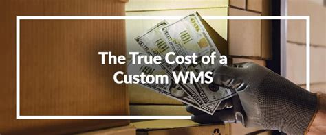 the true cost of a custom wms logiwa wms