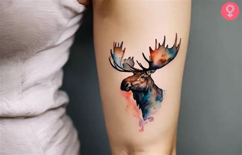 Moose Tattoo Symbolism Design Ideas And Placement Tips