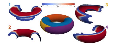 Partition Of Unity For Alanine Dipeptide Partition Of Unity Functions