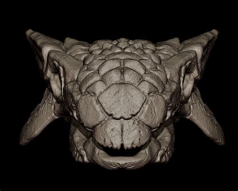 Ankylosaurus Skull 3d Model 3d Printable Cgtrader
