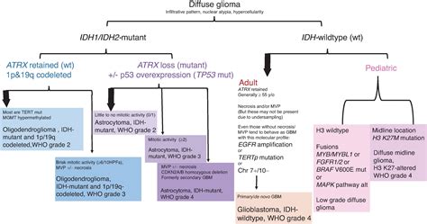 Glial And Glioneuronal Tumors Clinical Tree